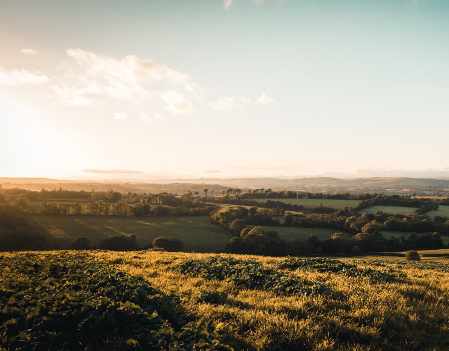 Simply Architecture | Award Winning Architecture & Design - Simply ...